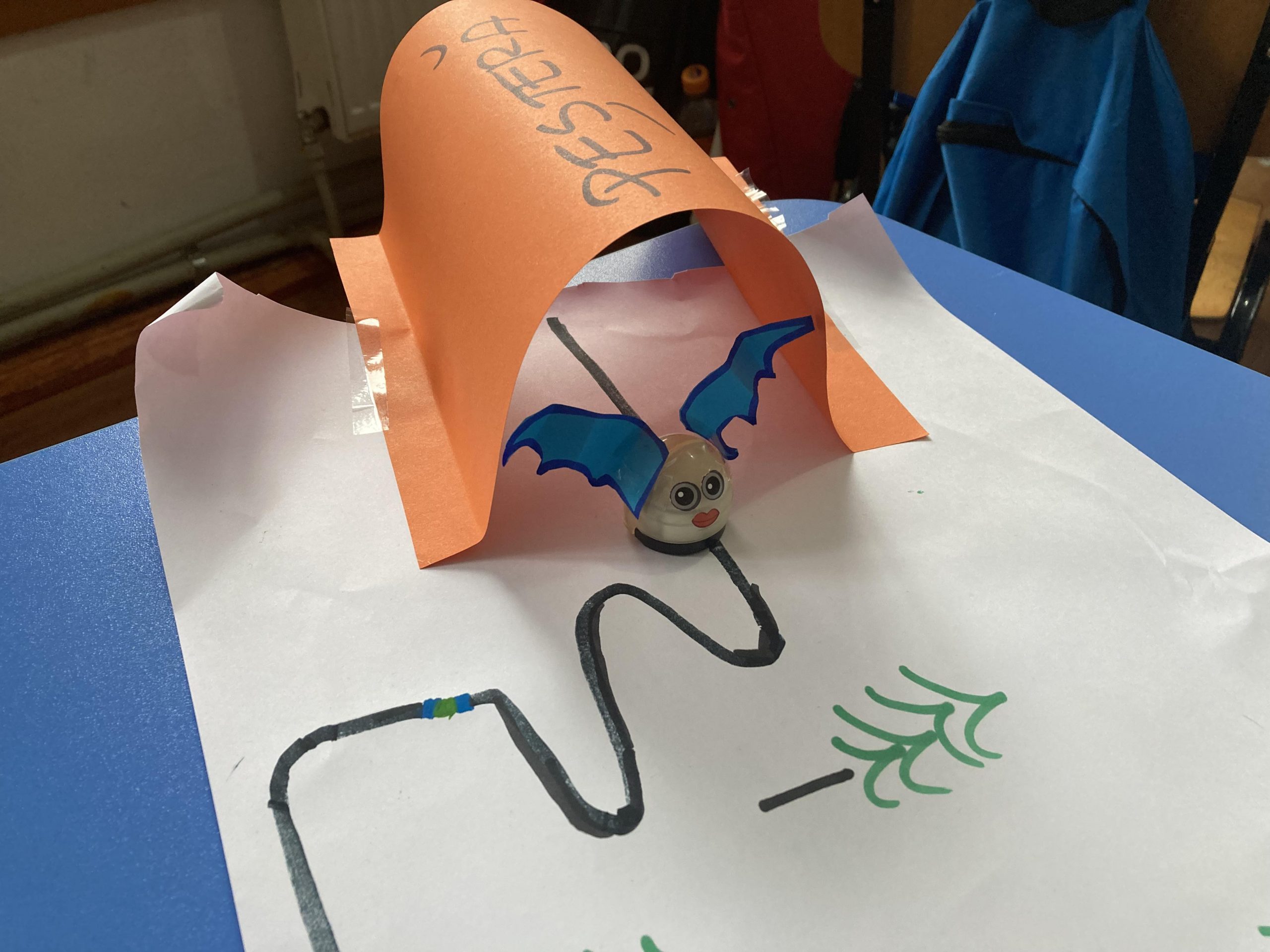 Learning about bats with the help of robots | Code Week